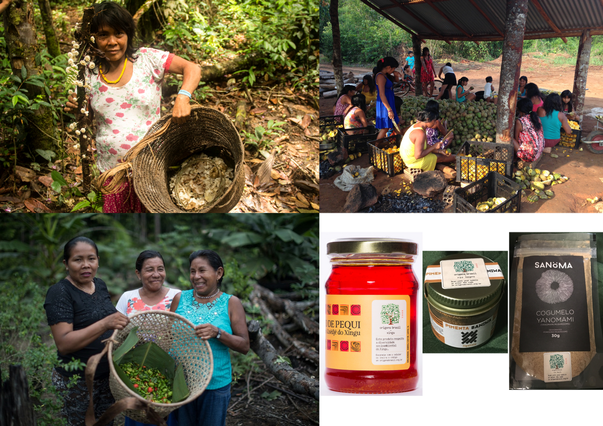 Indigenous Amazonian Products – Culinary Culture Connections